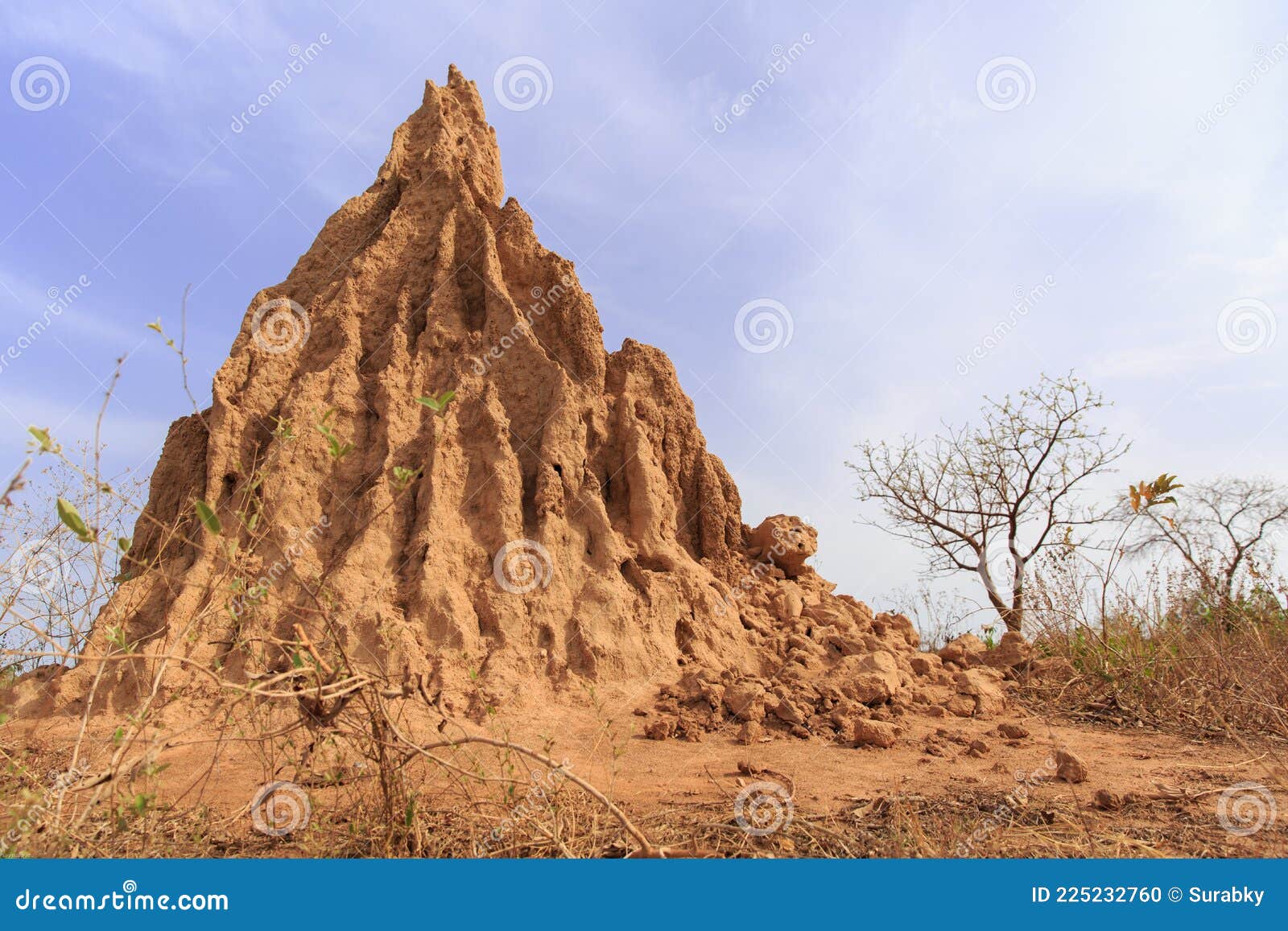 Anthill in africa stock photo. Image of nest, hill, brown - 225232760