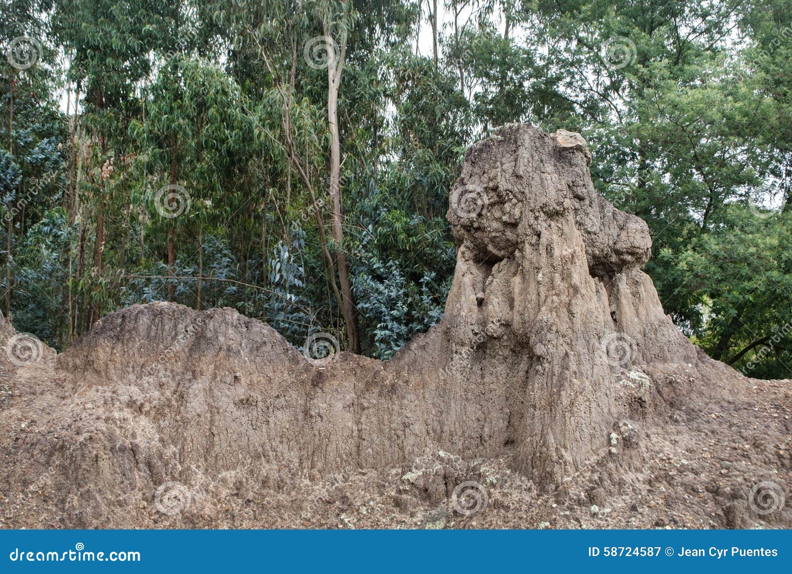Anthill stock image. Image of nest, sharp, rift, earth - 58724587