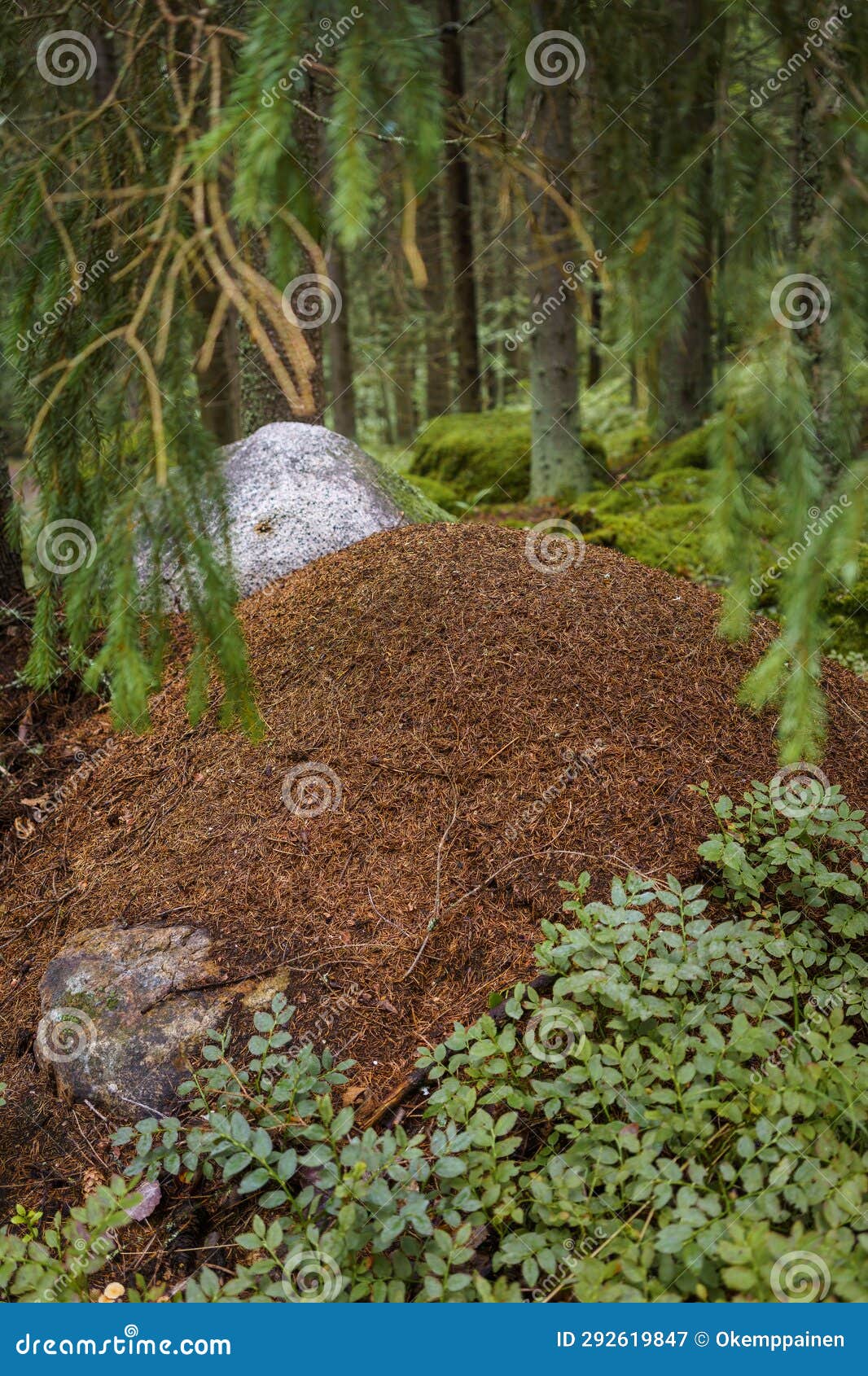 Anthill Framed by Tree Branches Stock Image - Image of greenery ...