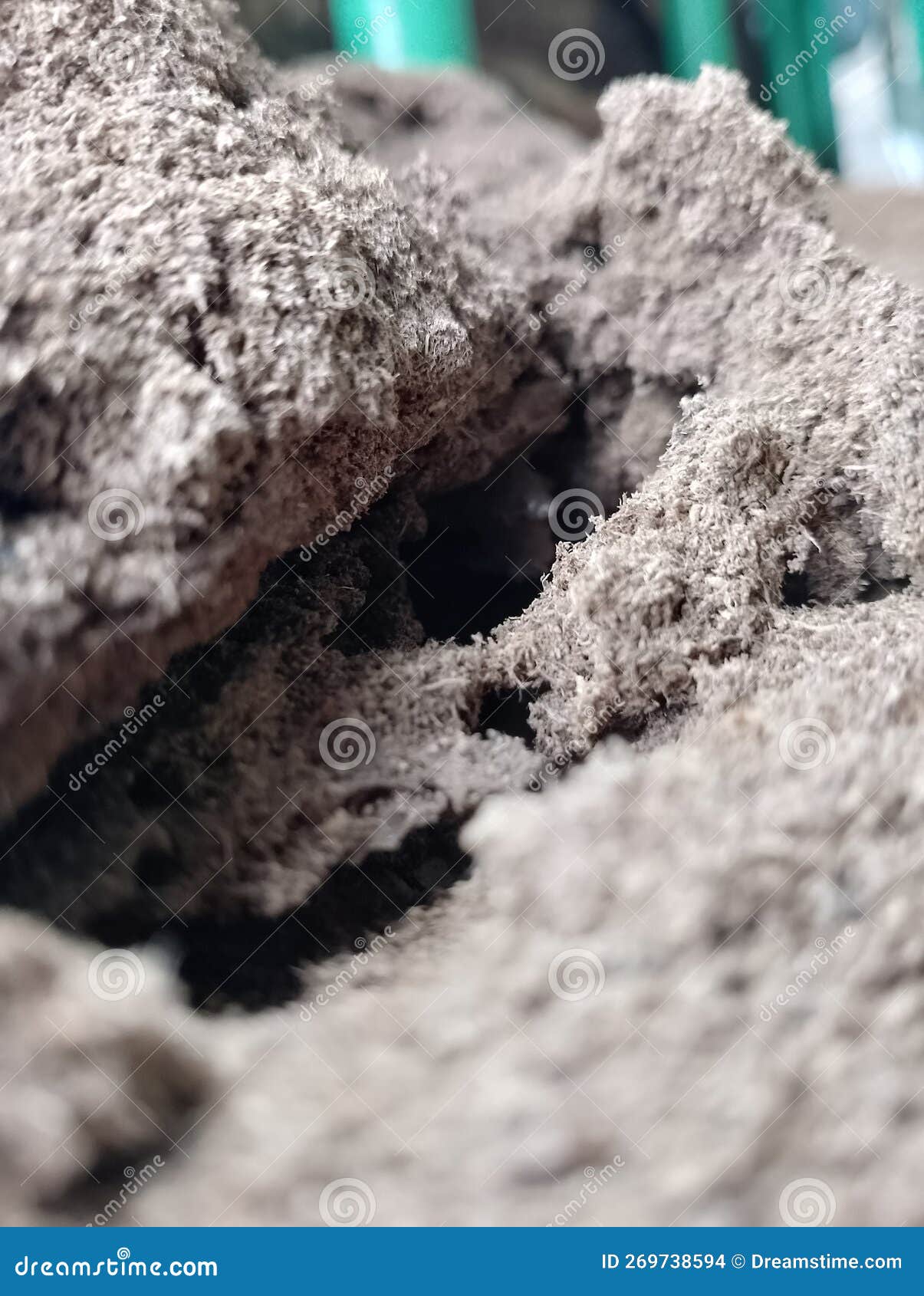 Anthill Inside the Mound Insect Ants Stock Photo - Image of insect ...