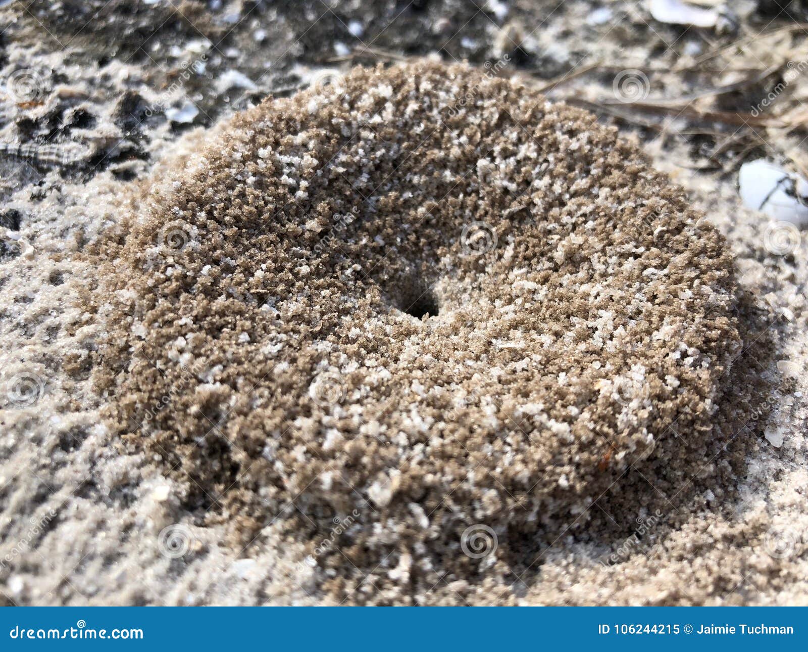 Anthill opening in sand stock image. Image of circle - 106244215