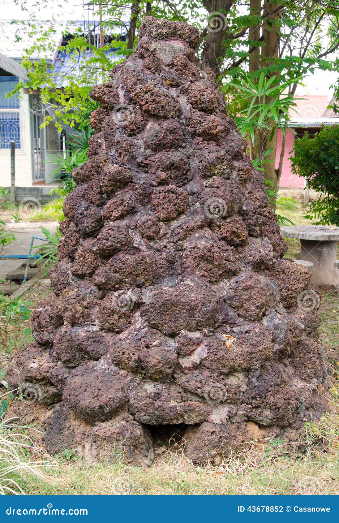 Anthill or Termite Mound in Garden Stock Photo - Image of insect ...