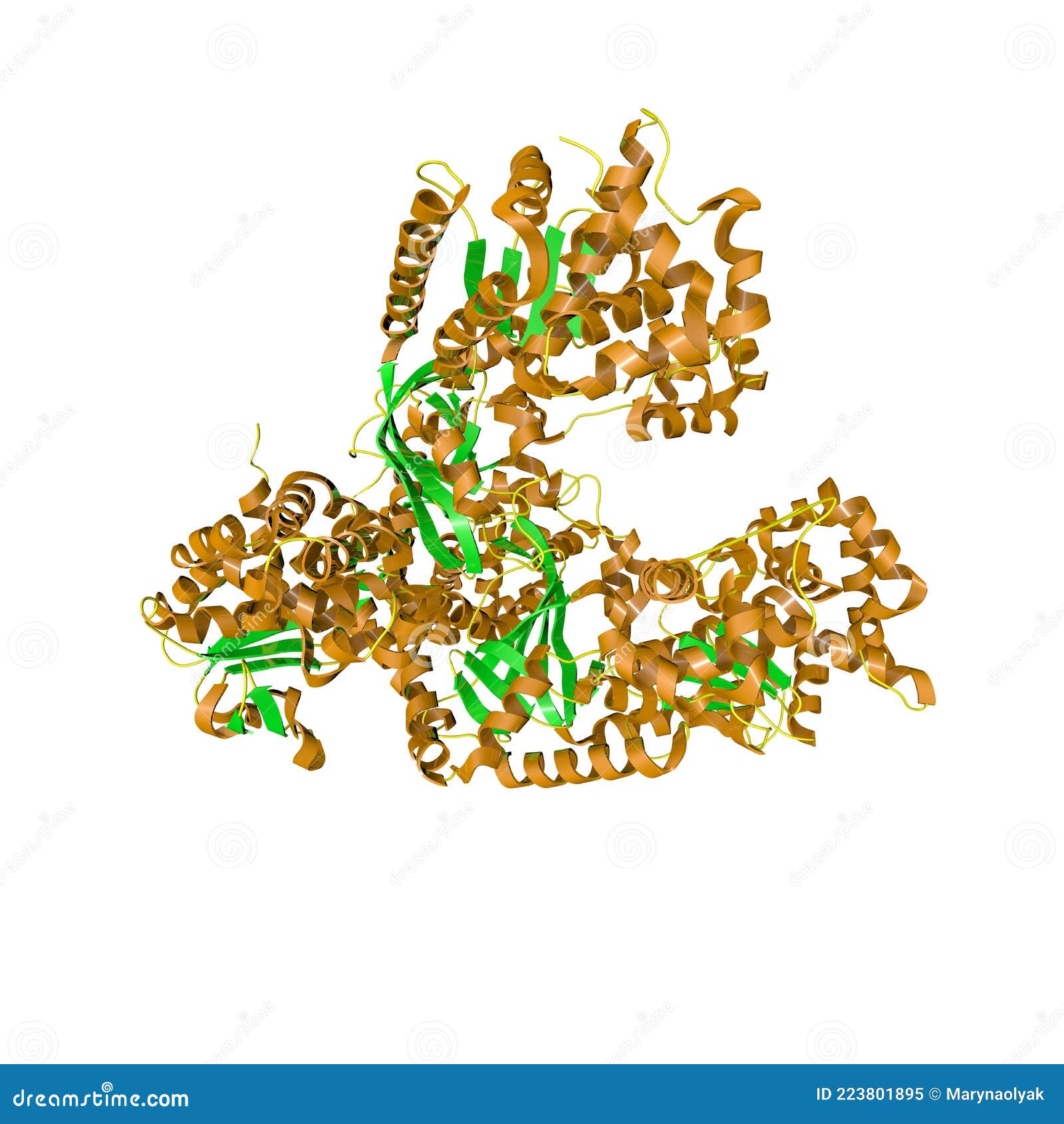 Anthrax Toxin Lethal Factor. Crystal Structure of Toxin Produced by ...