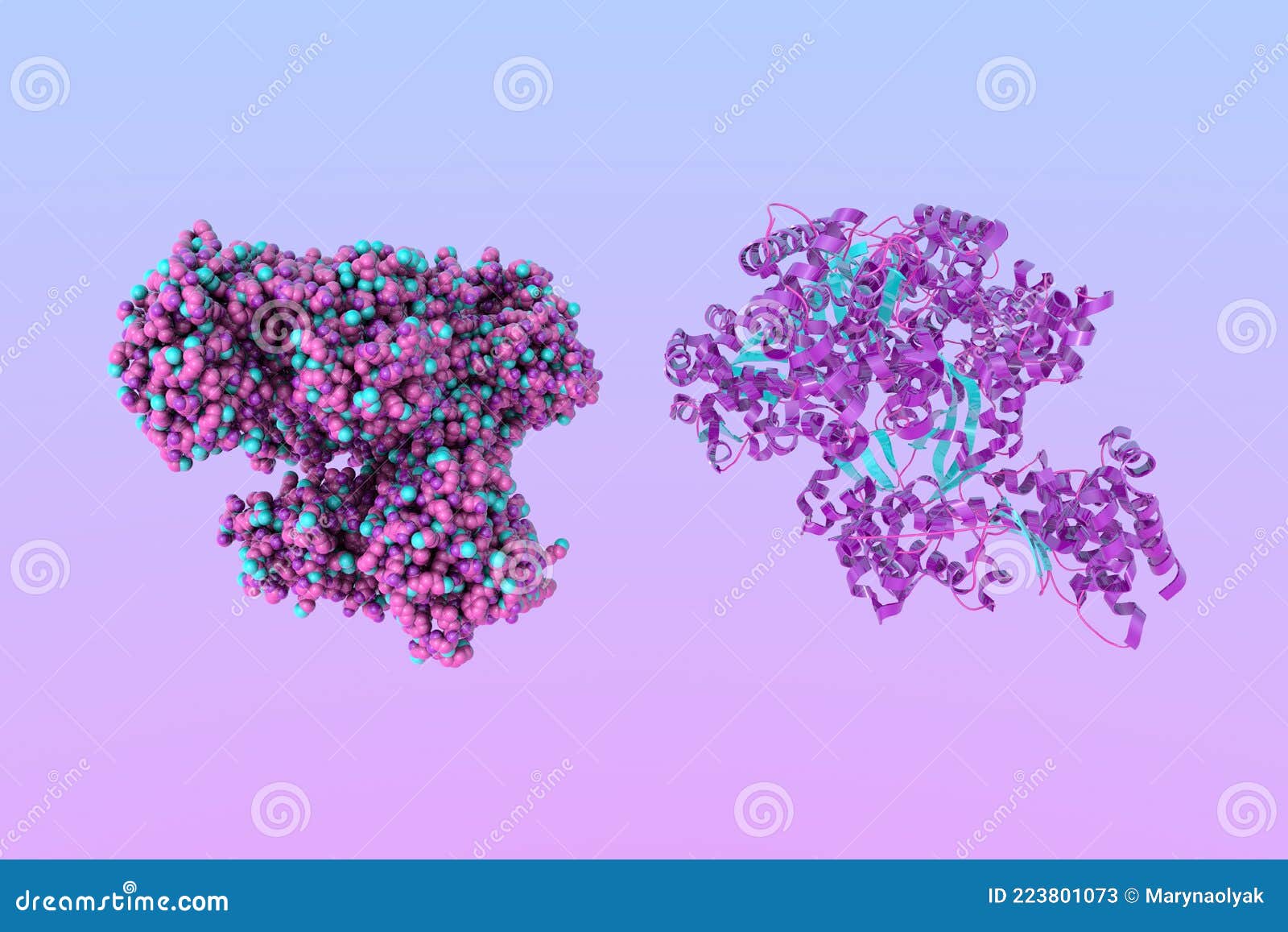 Anthrax Toxin Lethal Factor. Molecular and Crystal Structure of Anthrax ...