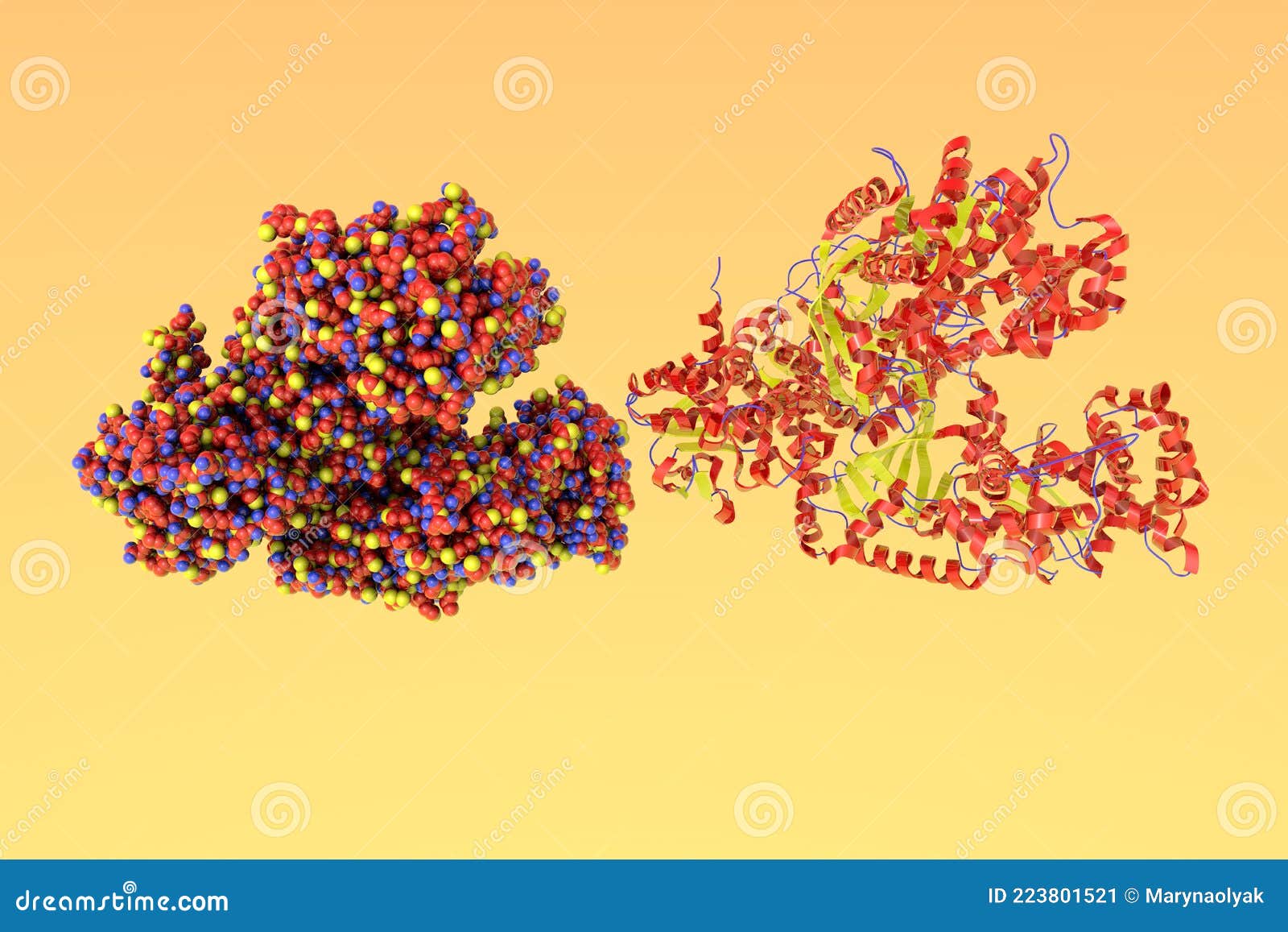 Anthrax Toxin Lethal Factor. Molecular and Crystal Structure of Anthrax ...