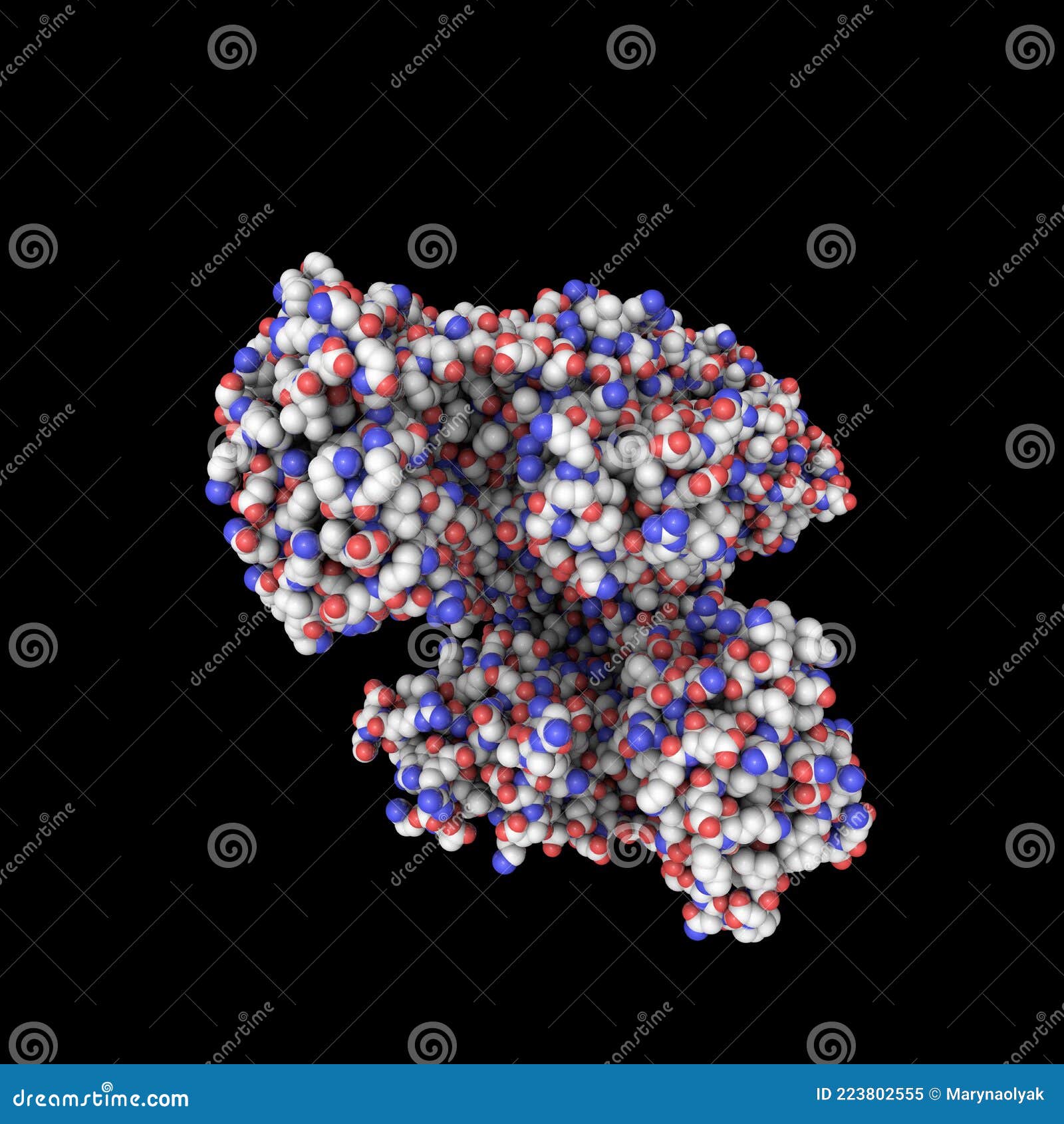 Anthrax Toxin Lethal Factor. Space-filling Molecular Model of Toxin ...