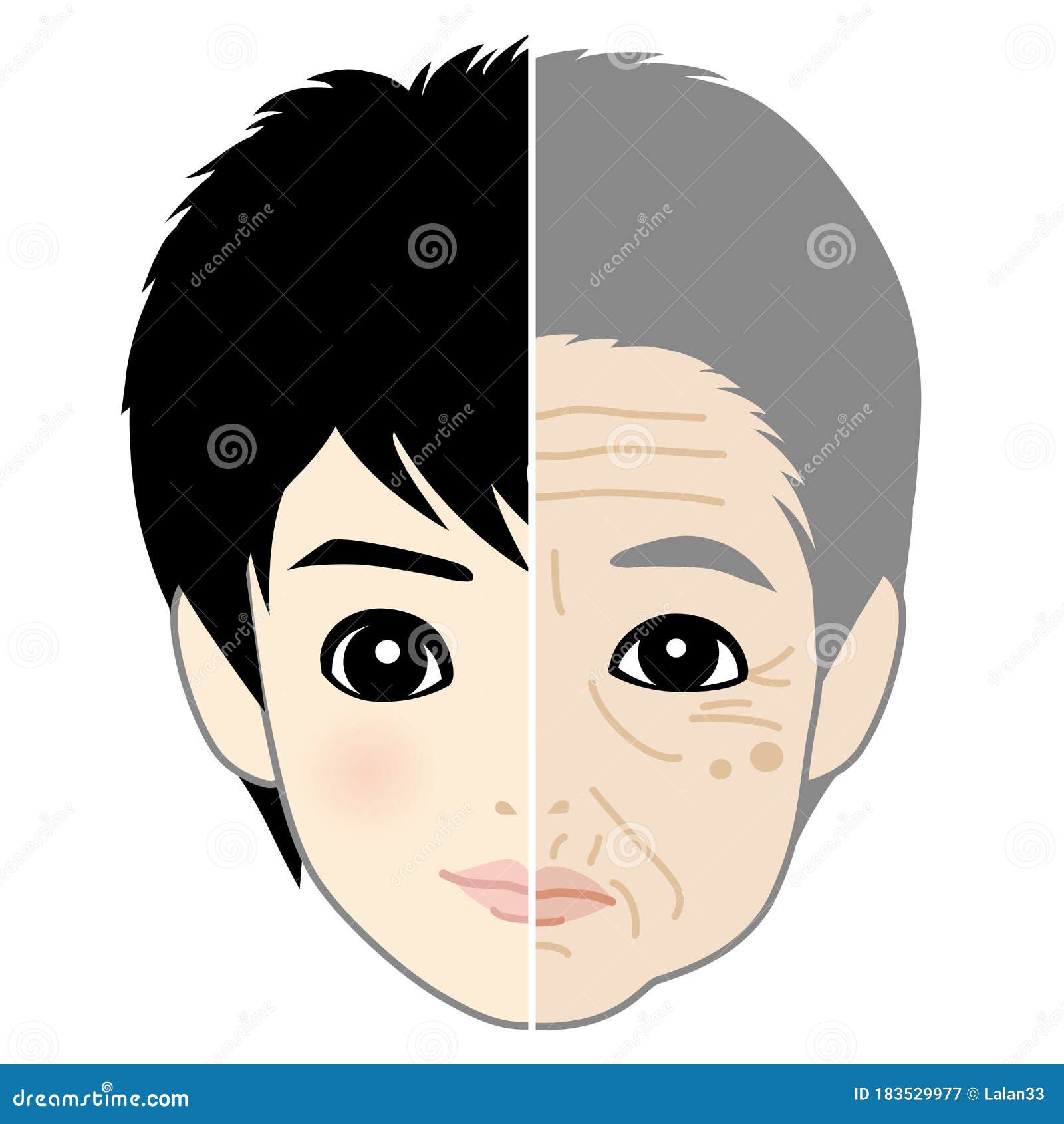 Aging of Skin. Young Man and Aged Man Stock Vector - Illustration of ...