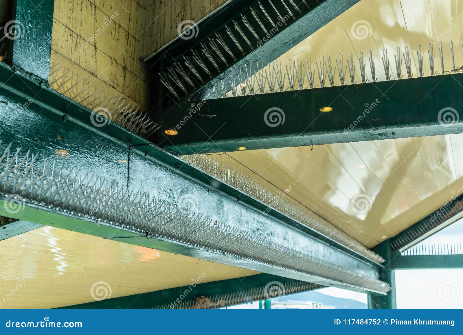 Anti Bird Spike on Building Stock Photo - Image of barrier, surface ...