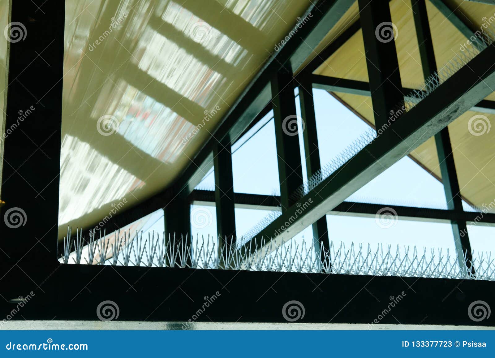 Anti Bird Spike for Protecting Building from Pigeon Stock Image - Image ...