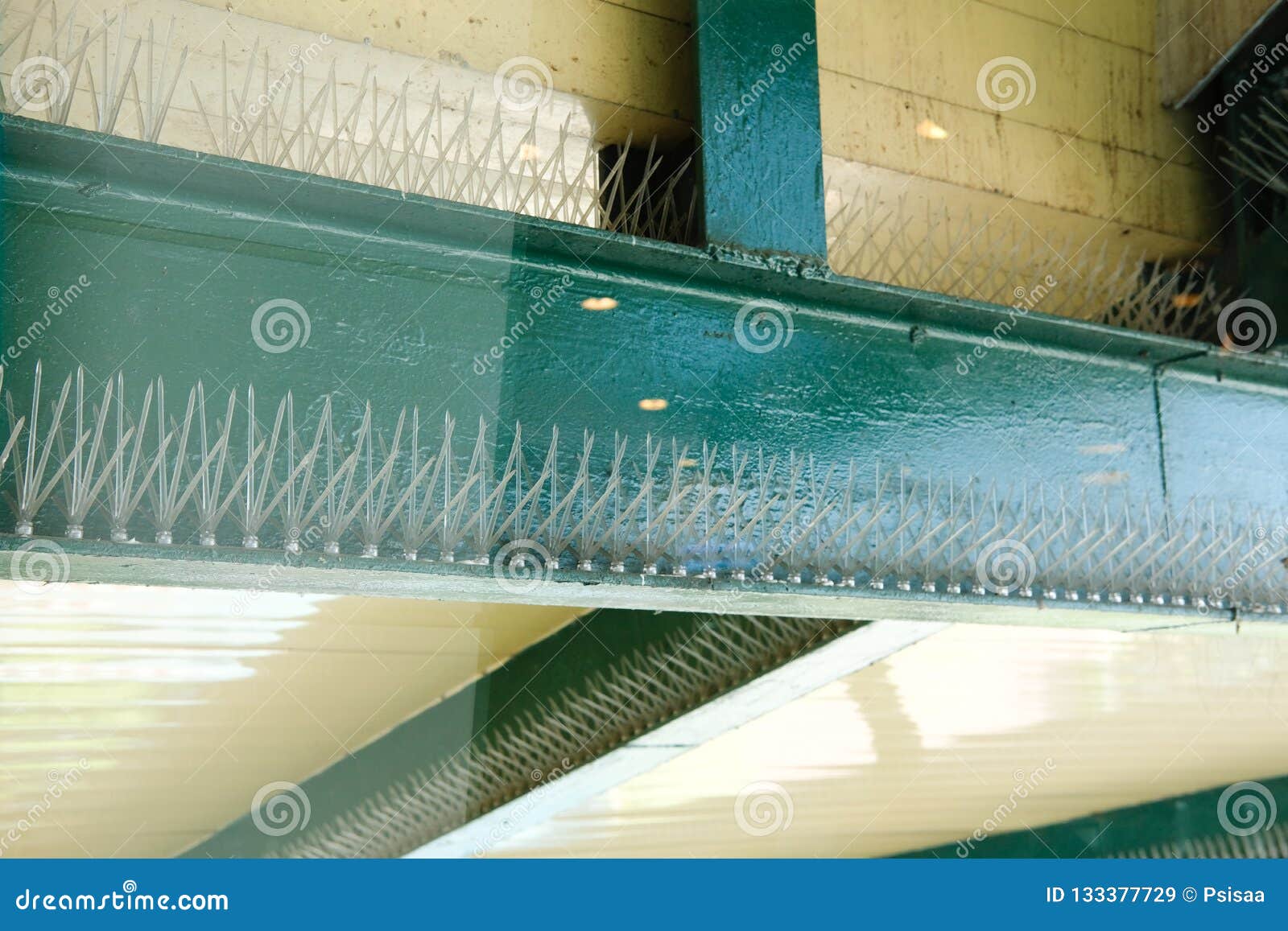 Anti Bird Spike for Protecting Building from Pigeon Stock Image - Image ...