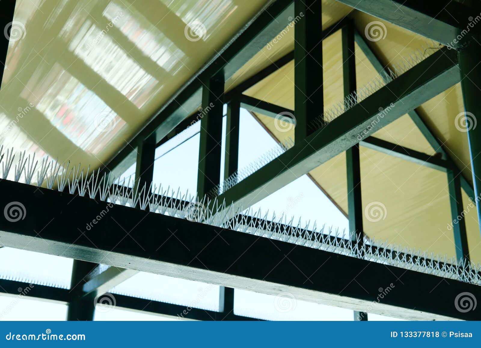 Anti Bird Spike for Protecting Building from Pigeon Stock Photo - Image ...