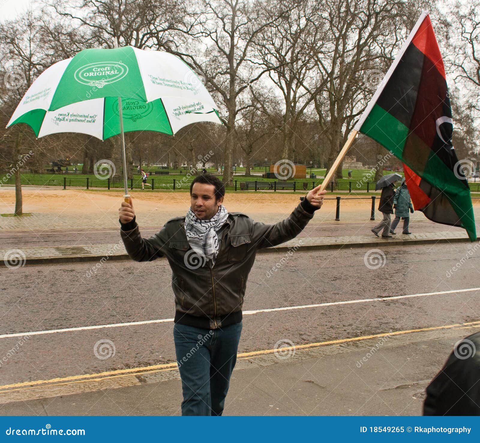 Gaddafi Flag Editorial Image | CartoonDealer.com #20042308