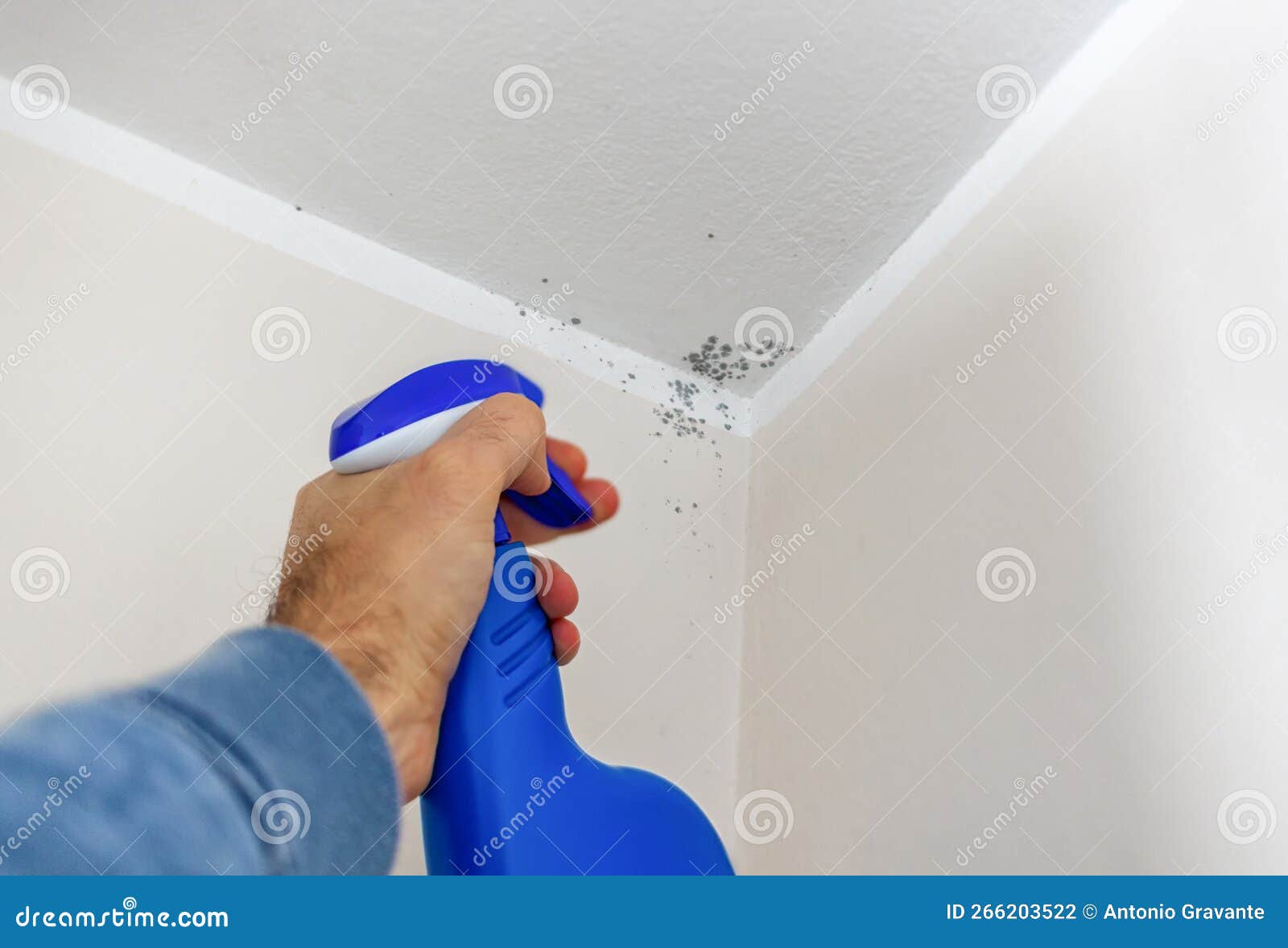 Anti-mould Spray in the Corner with the Ceiling for Mold Removal Stock ...