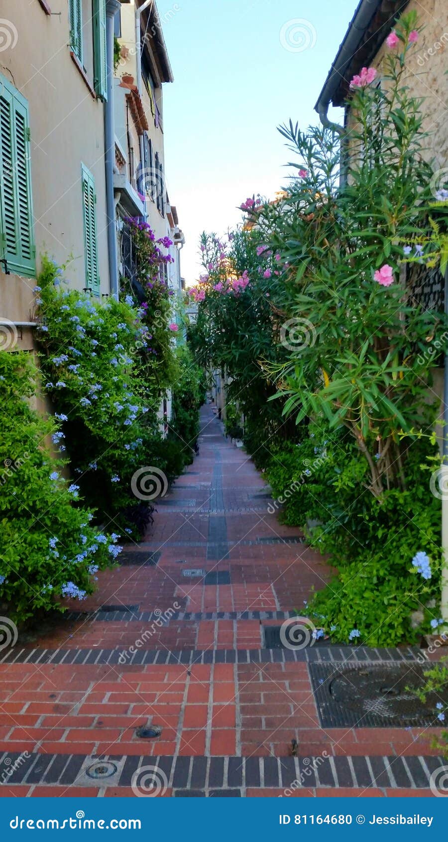 Antibes stock photo. Image of plants, riviera, antibes - 81164680