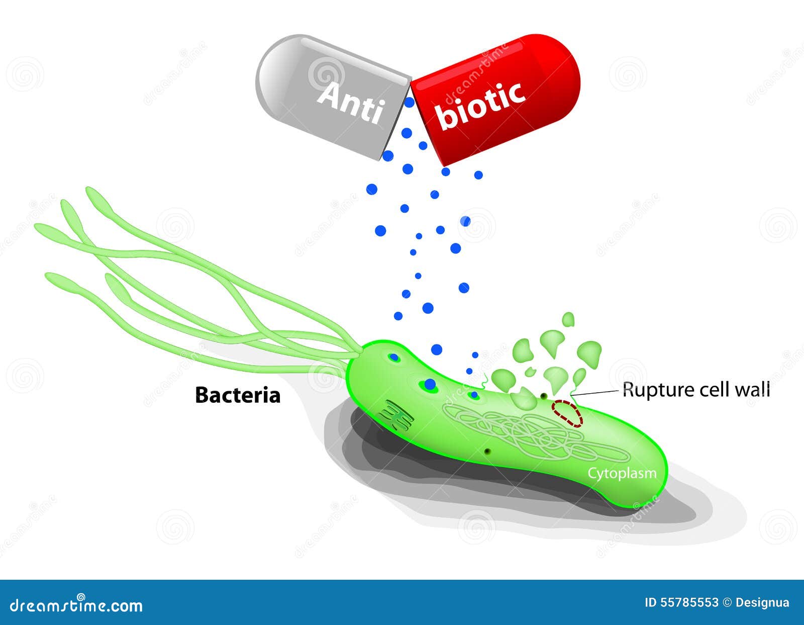 Antibiótico ilustración del vector. Ilustración de cuidado - 55785553