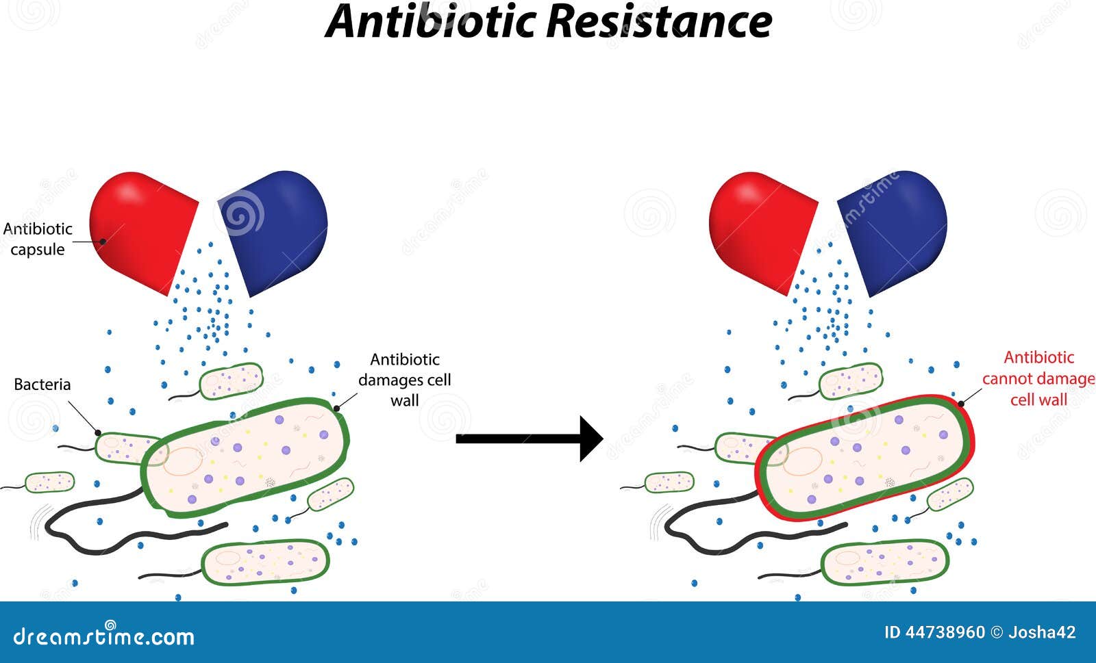 Antibiotic Resistance Outline Diagram, Illustrated Mechanism In ... Antibiotic Resistance Outline Diagram, Illustrated Mechanism In ...
