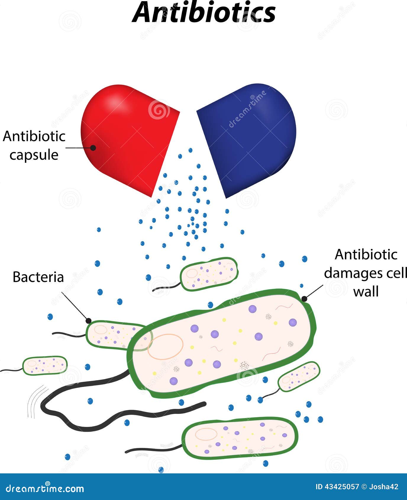 Antibiotica vector illustratie. Illustration of biomedisch - 43425057