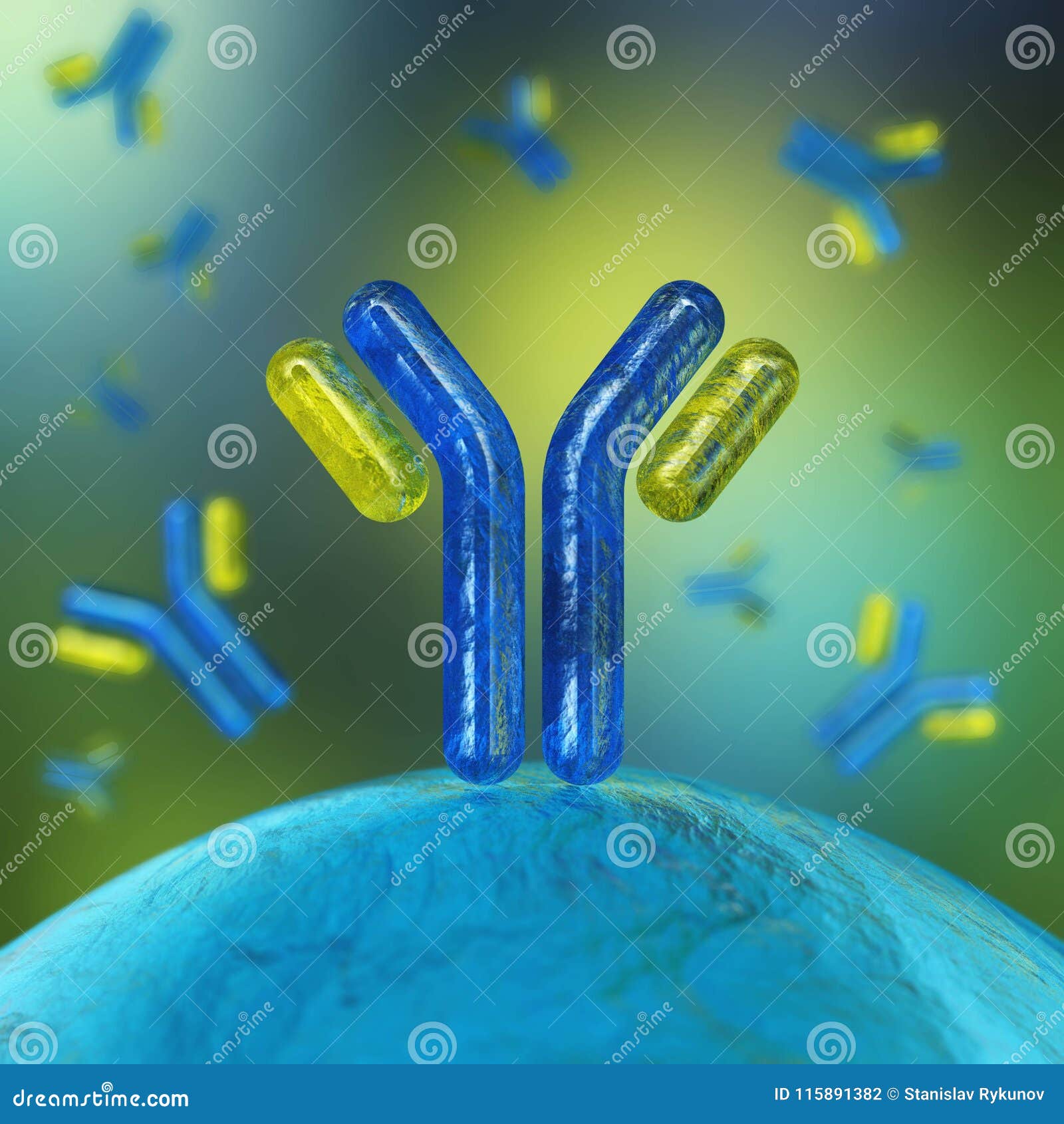 Antibodies, Immunoglobulins, the Immune Stock Illustration ...