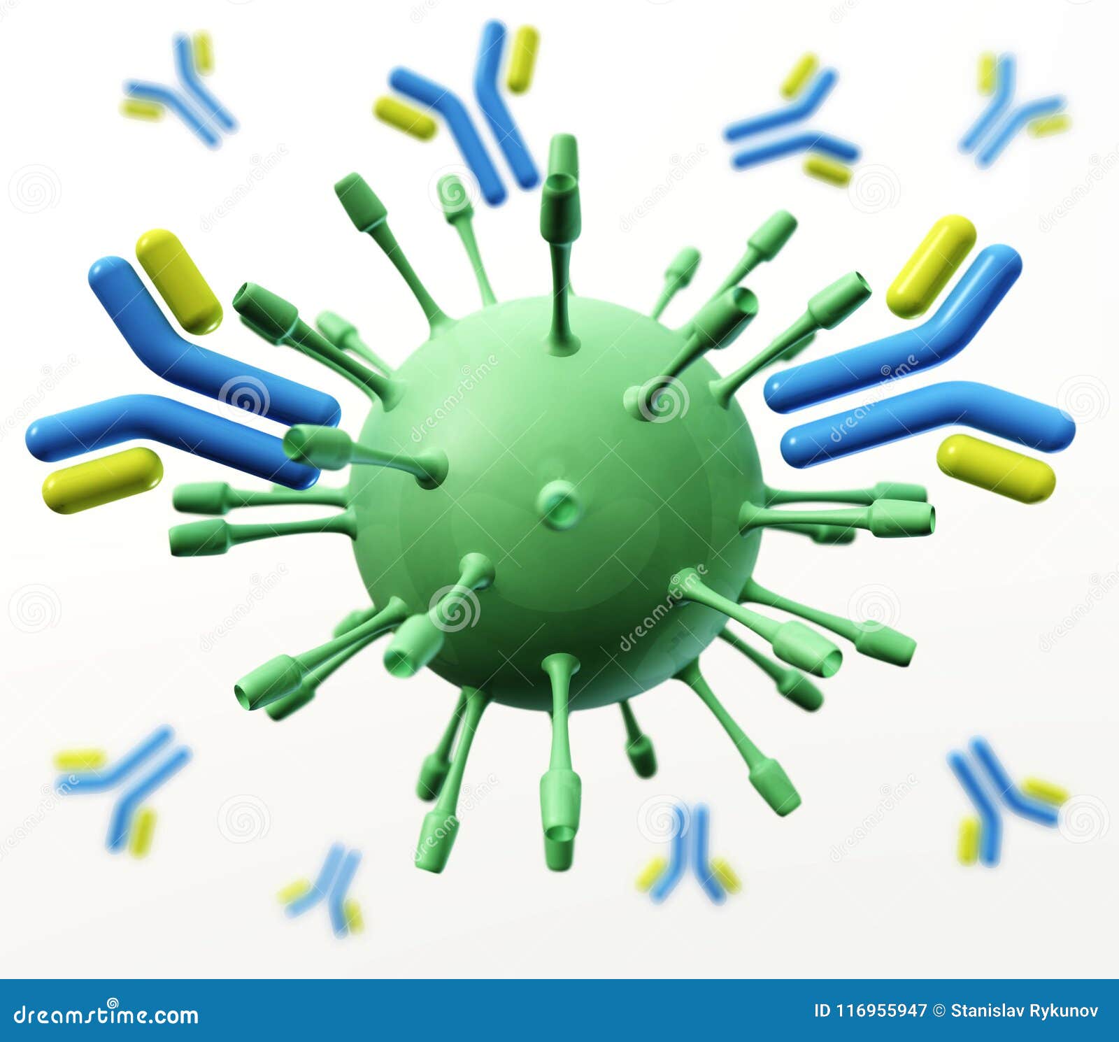 Antibodies, Immunoglobulins, the Immune Stock Illustration ...