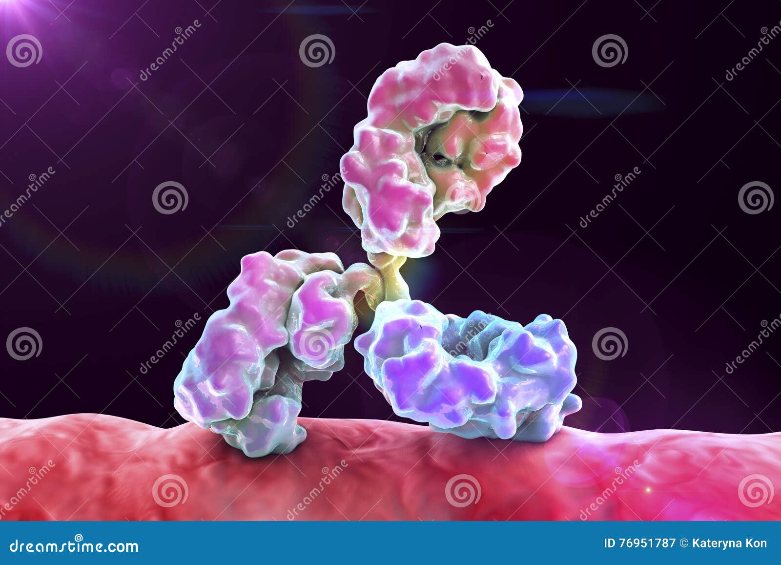 Antibody Attacking Bacterium Stock Illustration - Illustration of ...