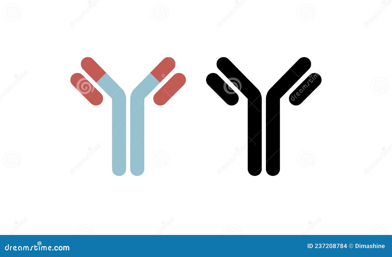 Antibody, Immune System, Molecule Cell, Virus Vector Isolated ...