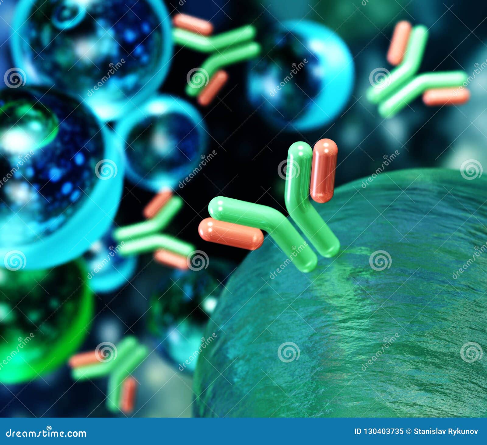 Antibody, immunoglobulins stock illustration. Illustration of ...