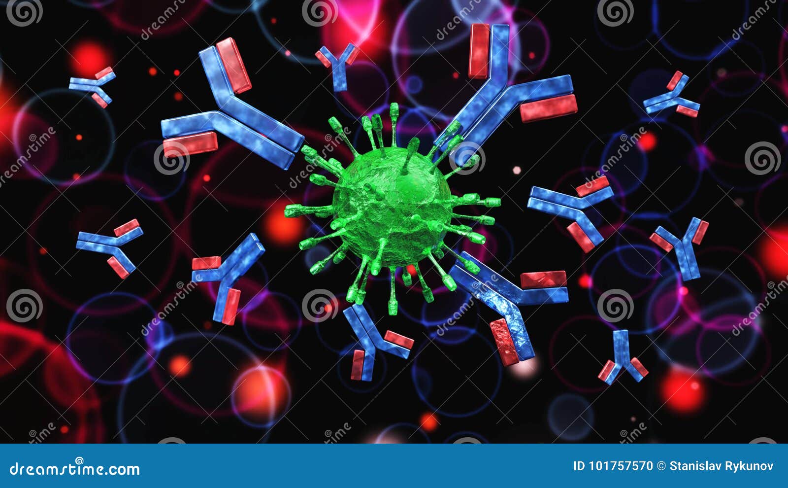Antibody, Immunoglobulins, 3d Rendering Stock Illustration ...