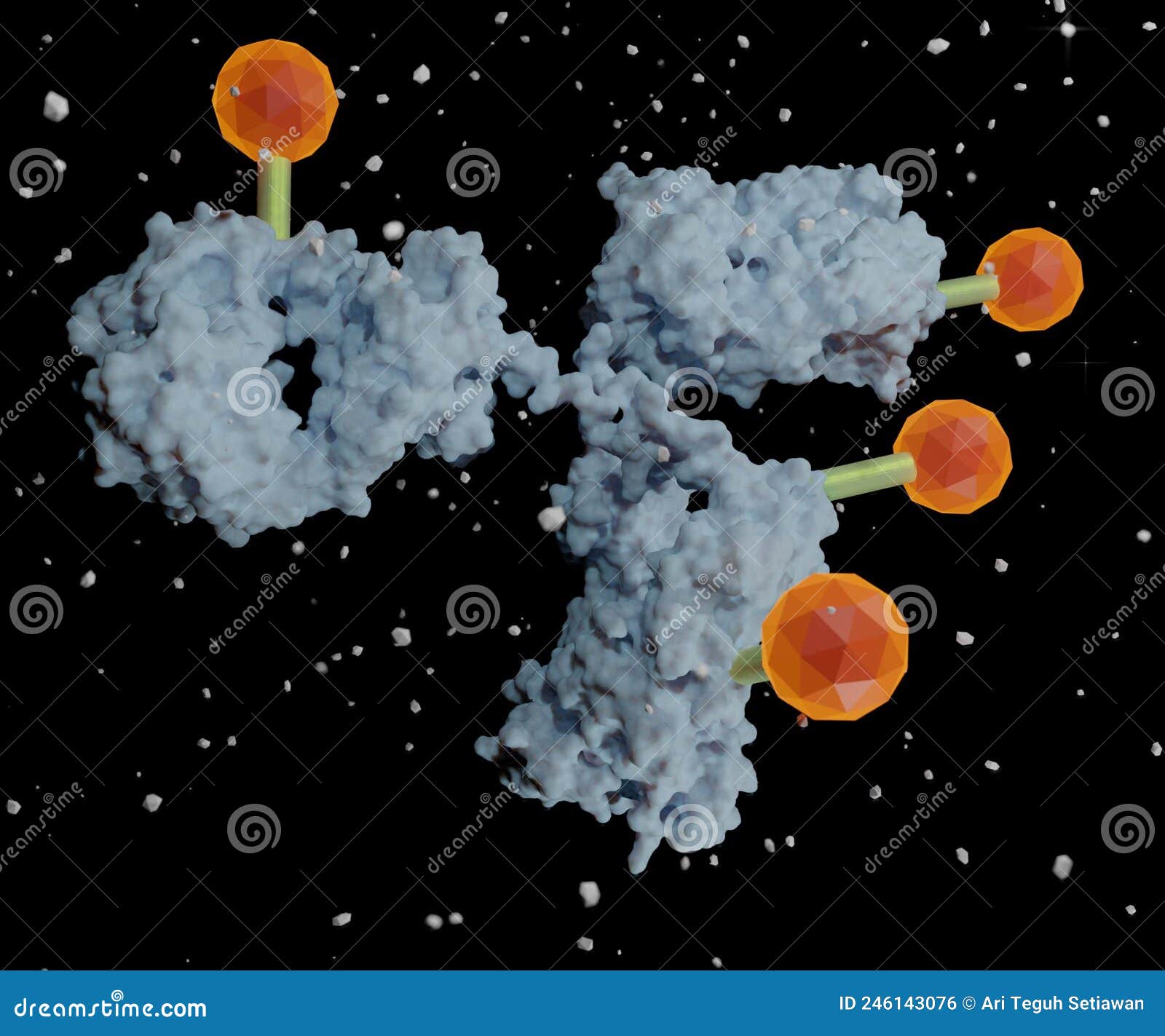 Antibody Linked To a Biologically Active Cytotoxic or Anticancer ...