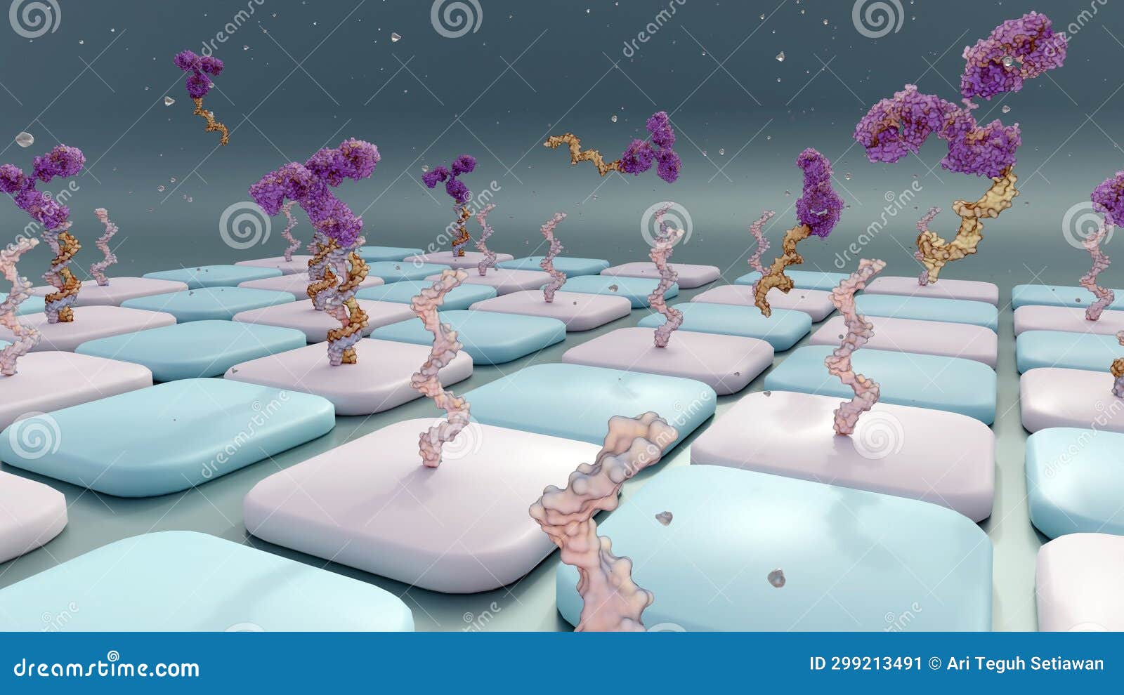 Mechanism of Antibody-oligonucleotide Conjugates or AOC Stock ...