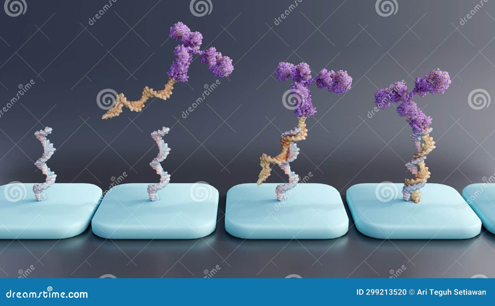 Mechanism Of Antibody-oligonucleotide Conjugates Or AOC Stock Photo ...