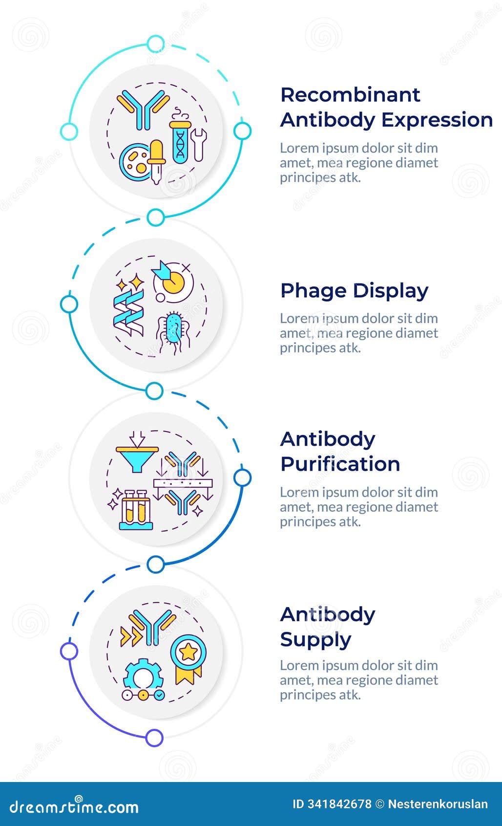 Antibody Production Process Infographic Design Template Stock ...