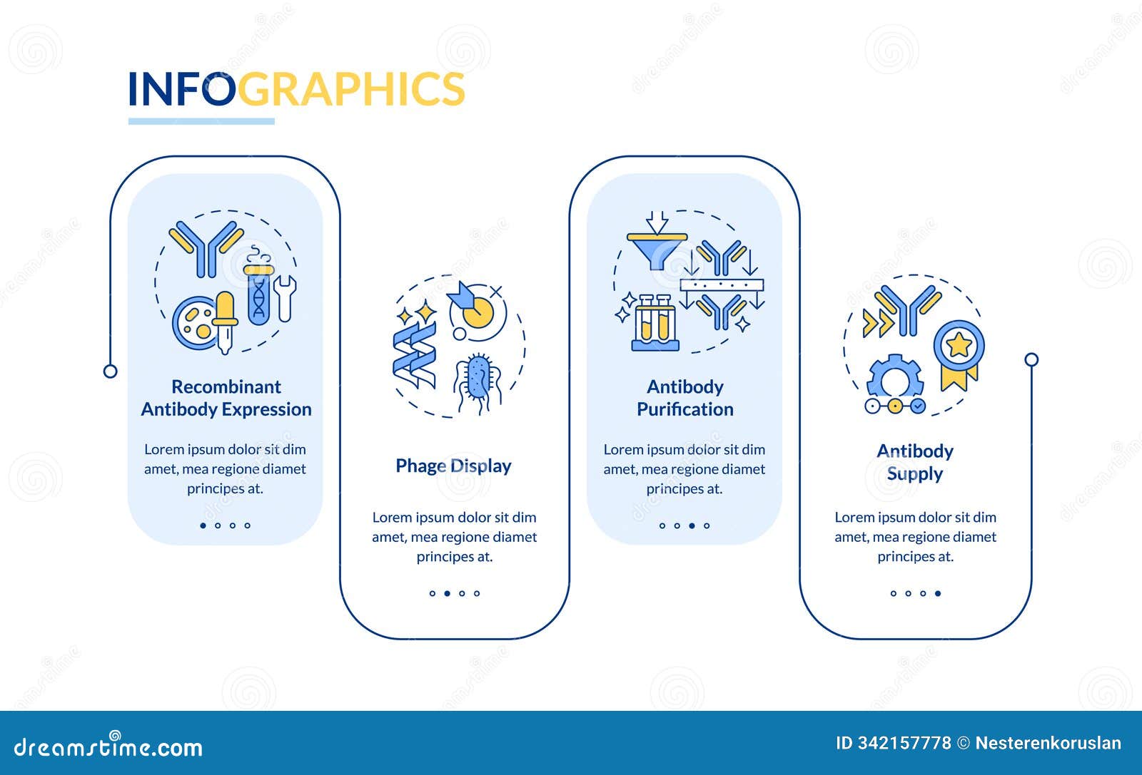 Antibody Production Process Rectangle Infographic Vector ...