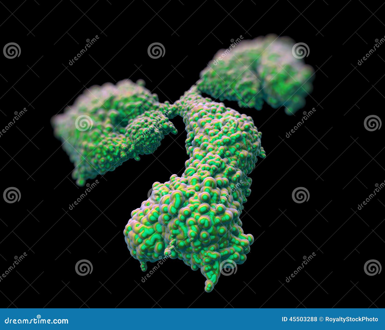 Anticorpo De G Da Imunoglobulina Ilustração Stock - Ilustração de ...