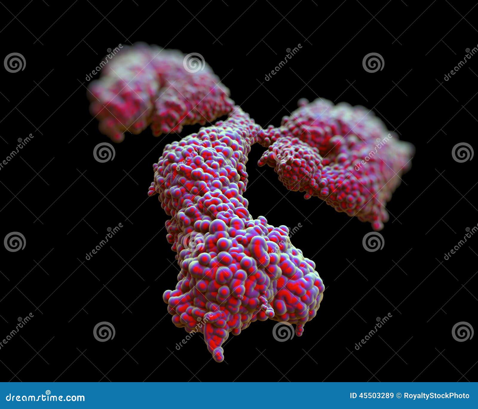 Anticorpo De G Da Imunoglobulina Ilustração Stock - Ilustração de ...