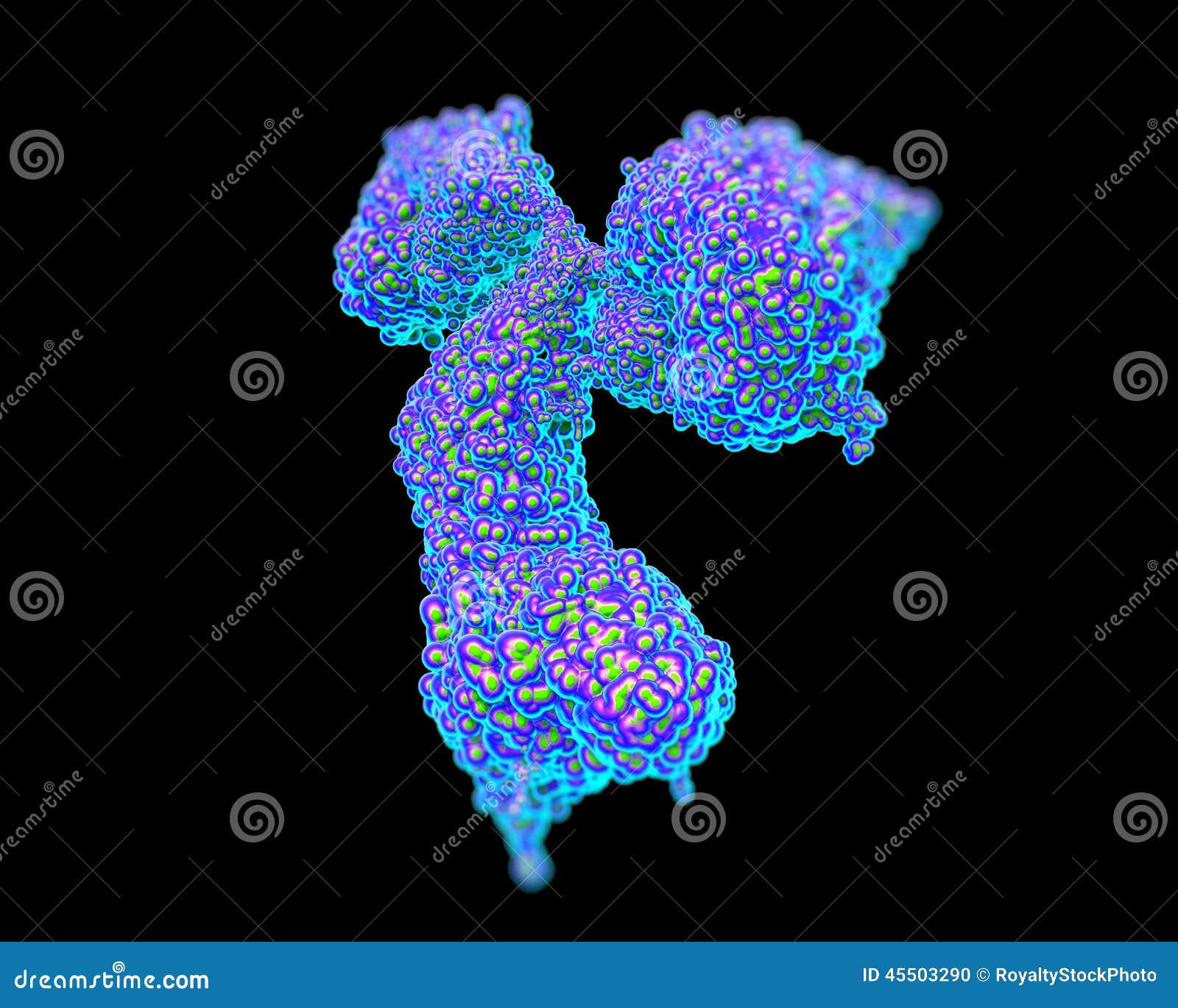 Anticorpo De G Da Imunoglobulina Ilustração Stock - Ilustração de ...
