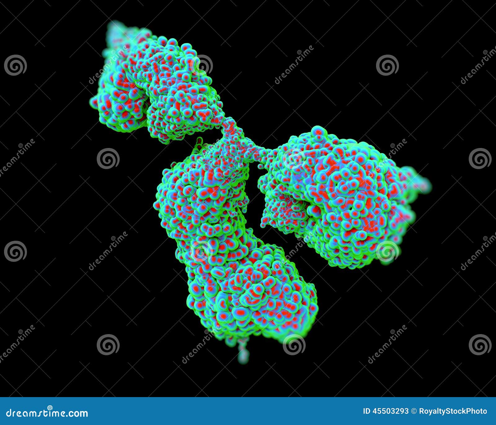 Anticorpo De G Da Imunoglobulina Ilustração Stock - Ilustração de ...