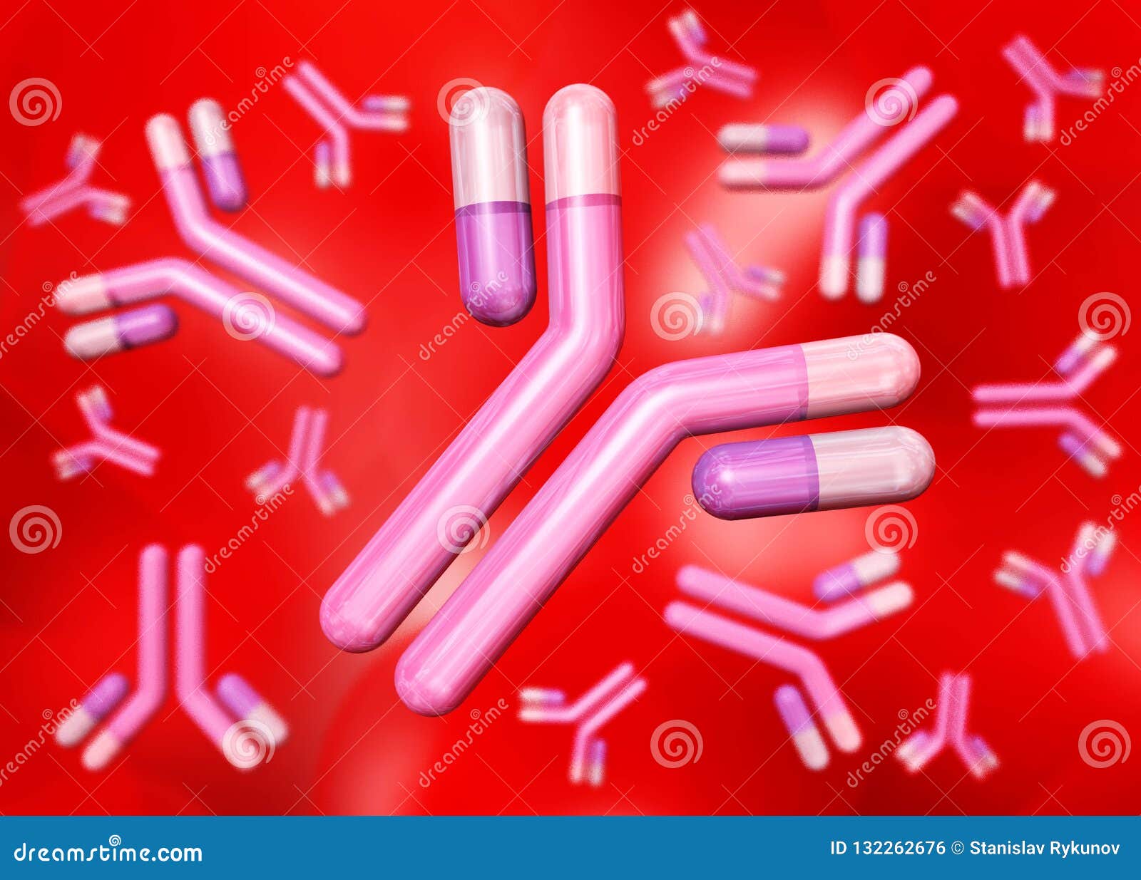Anticorpo, imunoglobulina ilustração stock. Ilustração de estrutura ...