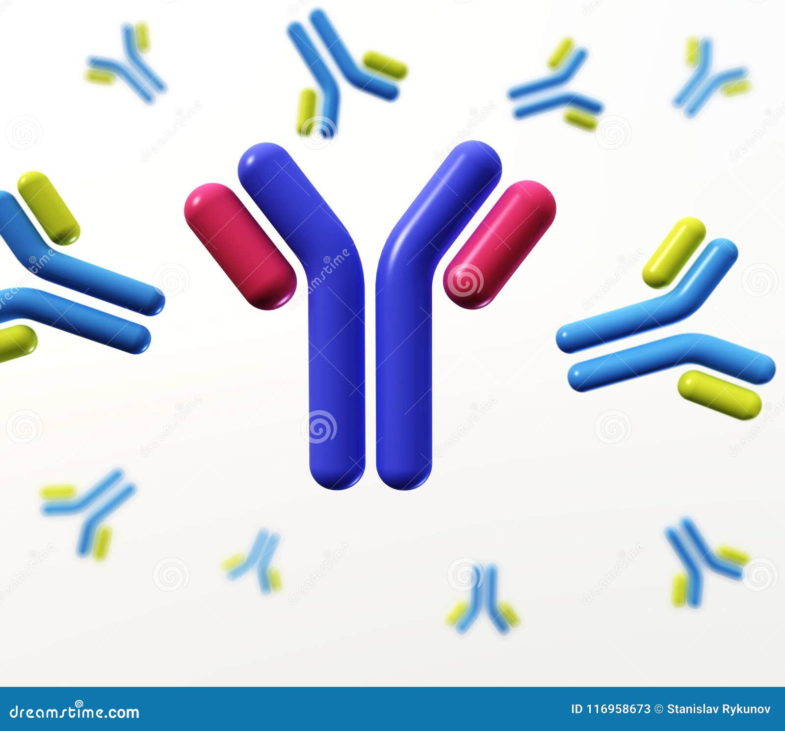 Anticorpos, Imunoglobulina, O Imune Ilustração Stock - Ilustração de ...