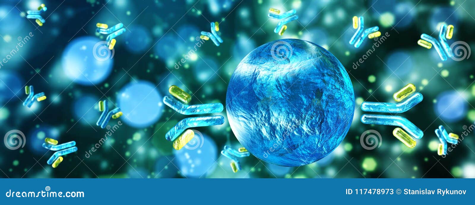Anticorpos, Imunoglobulina, O Imune Imagem de Stock - Imagem de ...