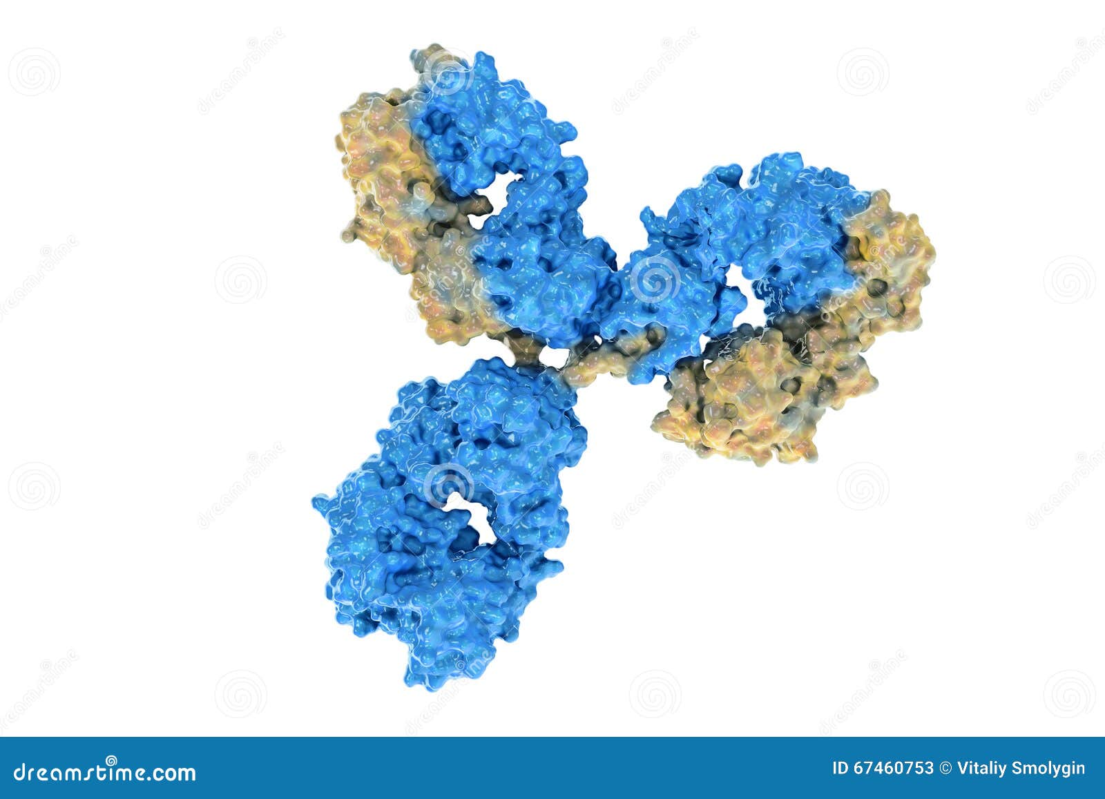 Anticorps illustration stock. Illustration du biologie - 67460753