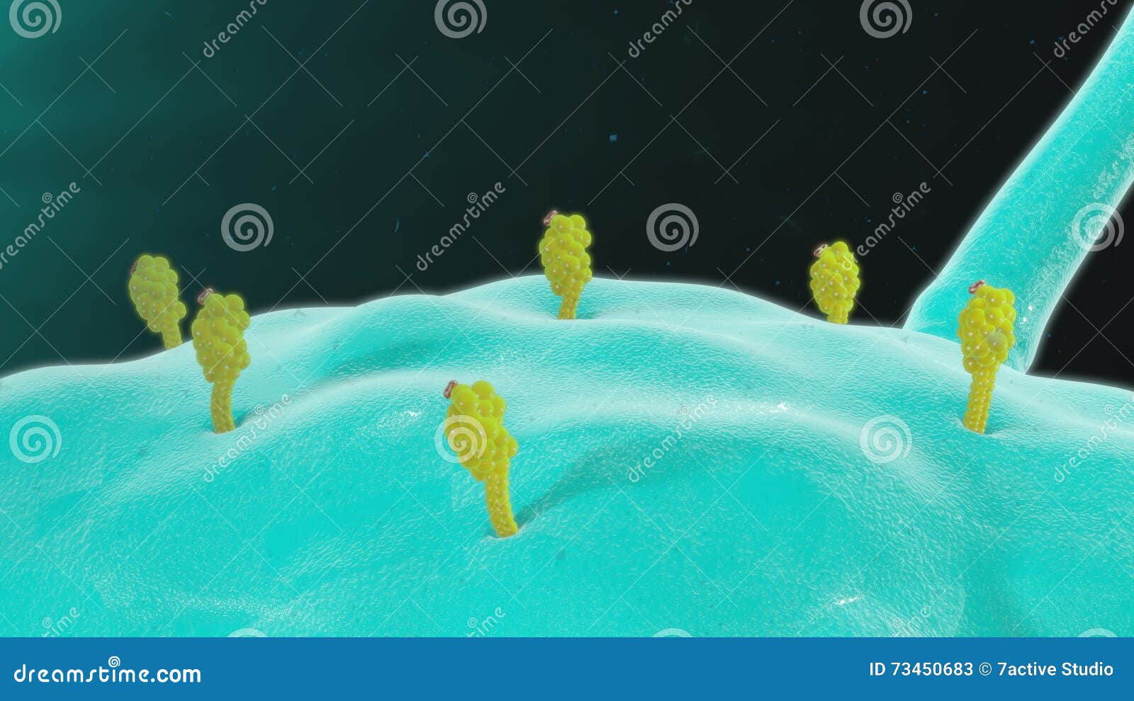 Antigen presenting cells stock illustration. Illustration of graphic ...