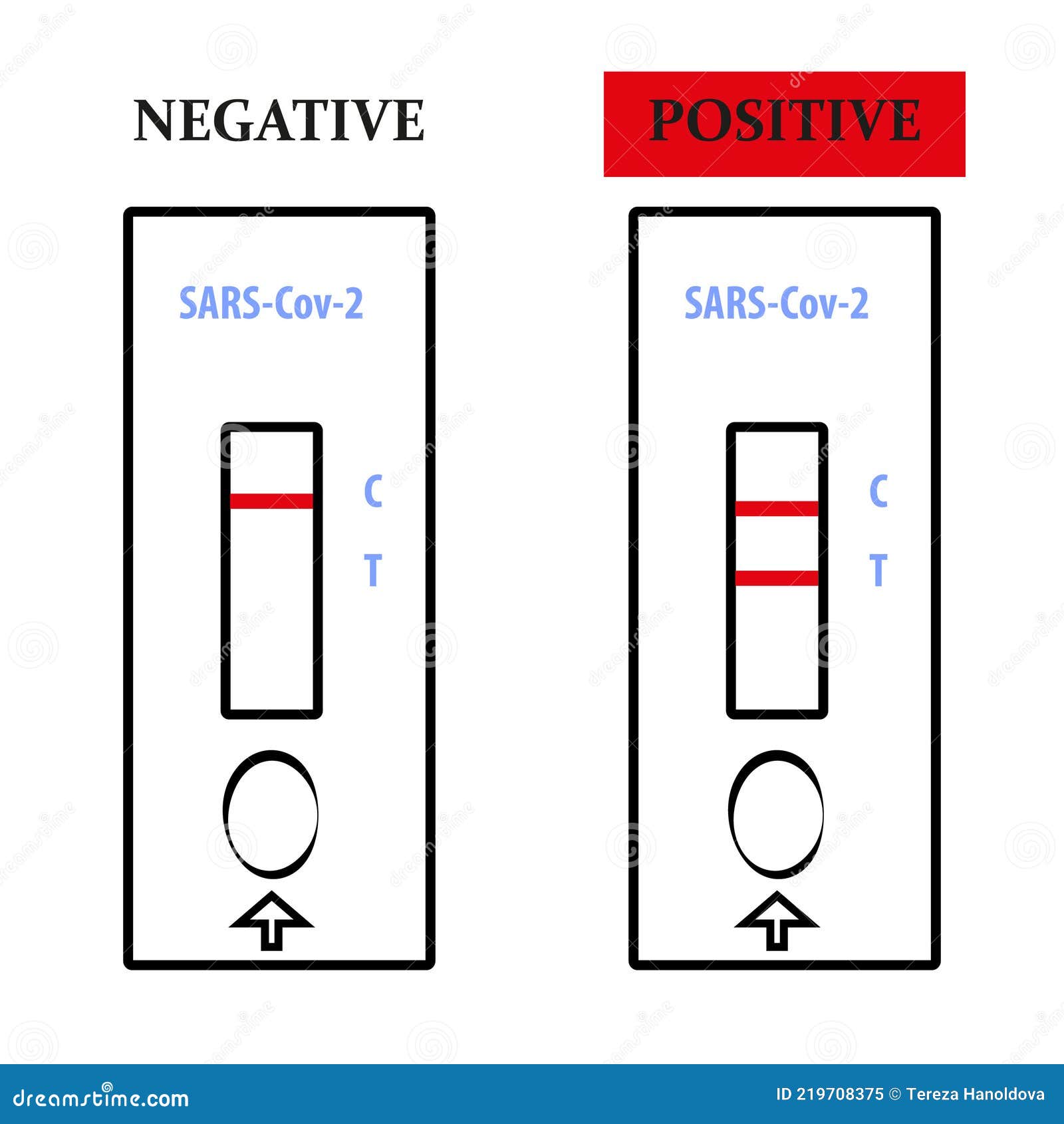 Antigen Test - Positive and Negative Result Stock Vector - Illustration ...