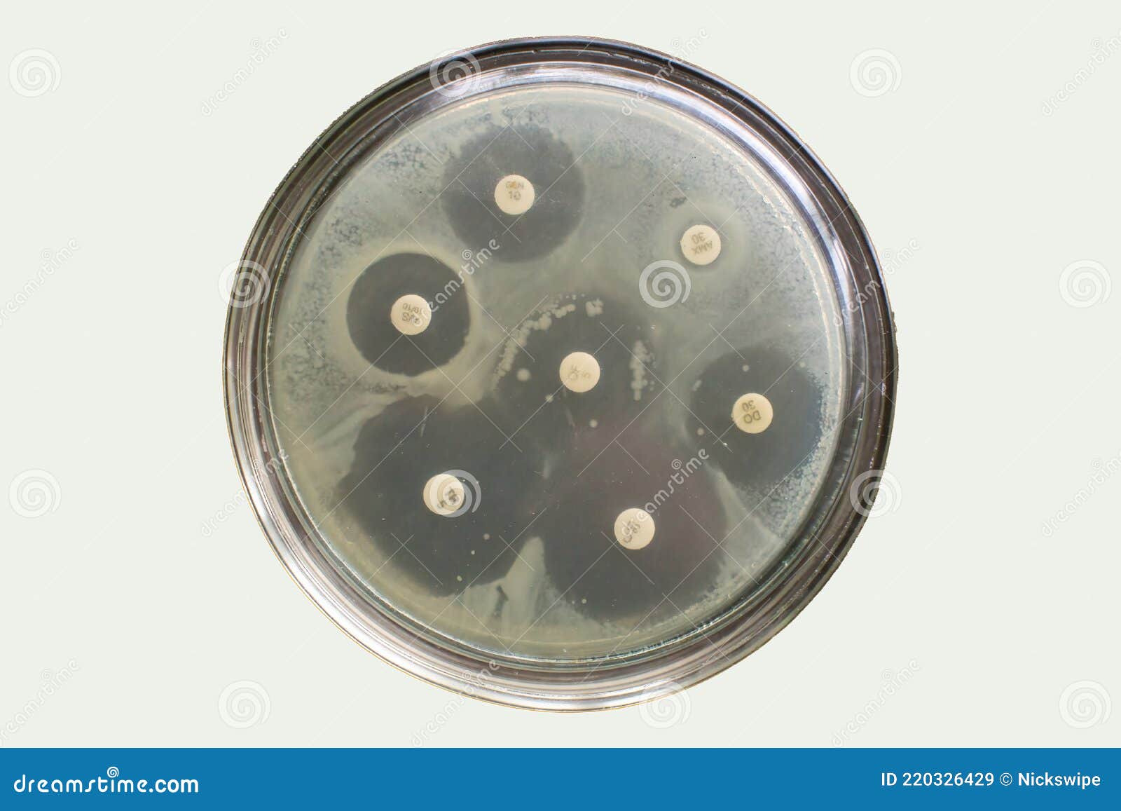 Antimicrobial Susceptibility Testing. Antibiotic Efficiency by ...