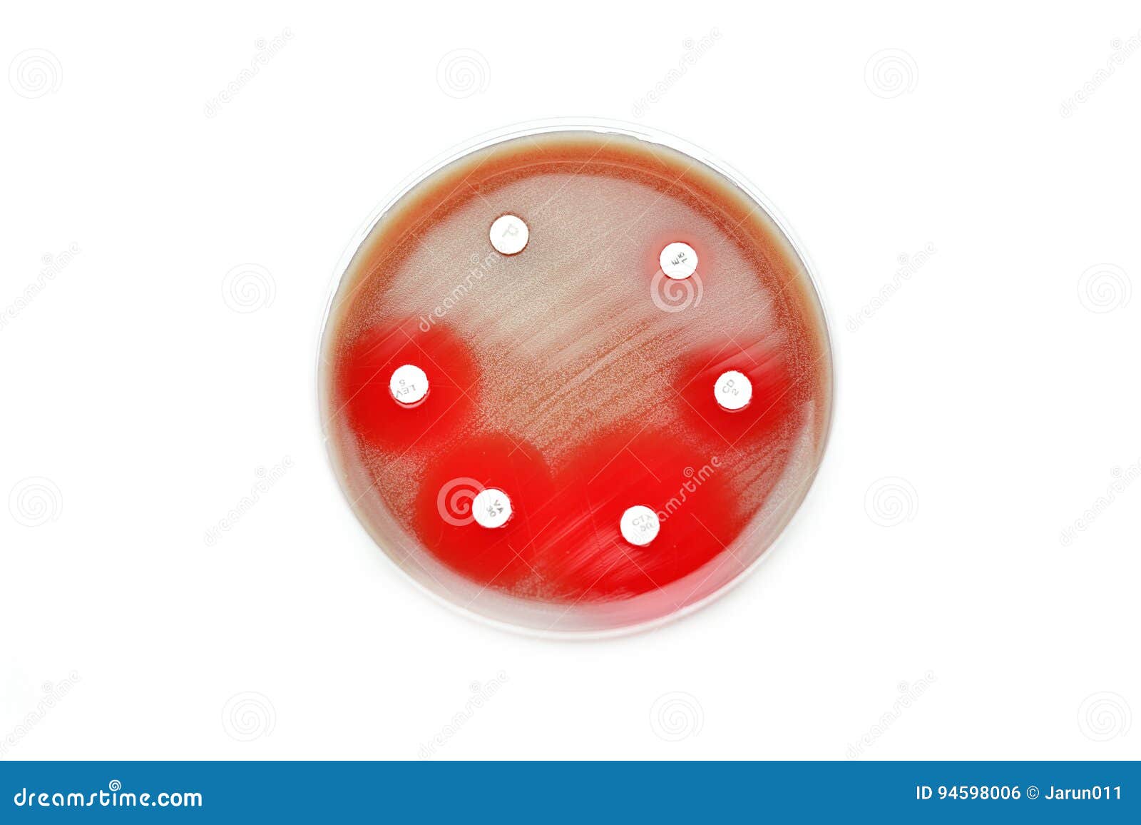 Antimicrobial testing stock photo. Image of medicine - 94598006 Antimicrobial testing stock photo. Image of medicine - 94598006