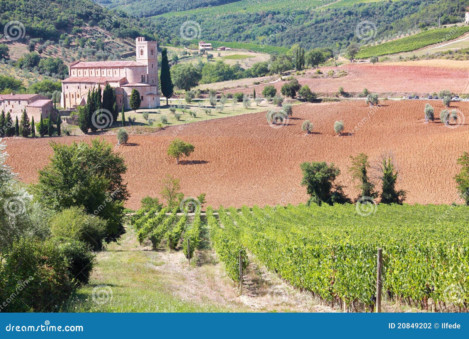 Antimo Italy Sant Tuscany Winnica Zdjęcie Stock - Obraz złożonej z ...