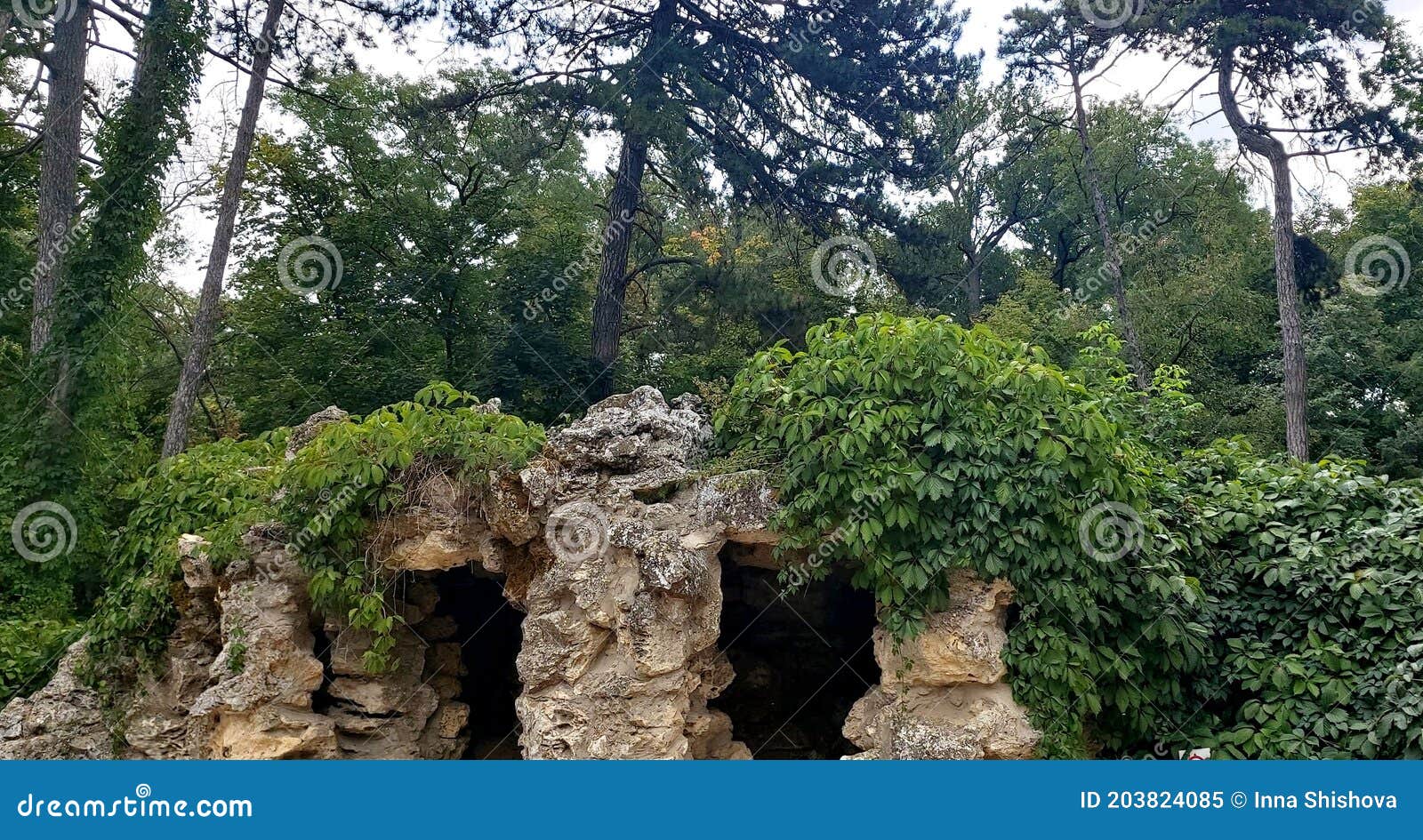 Antiont Cave and Wild Grape Stock Image - Image of forest, terrain ...