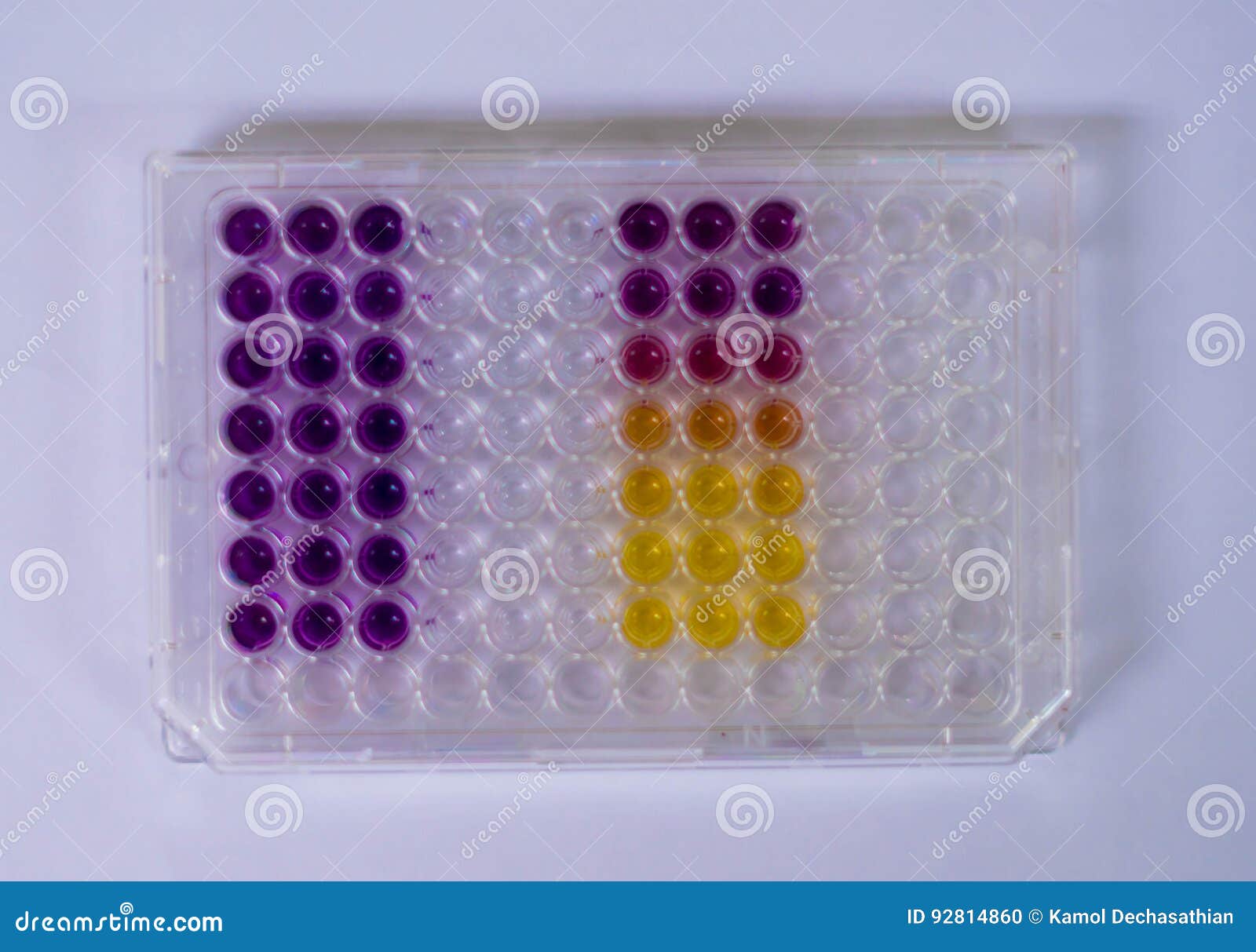 Antioxidant assay stock photo. Image of equipment, green - 92814860