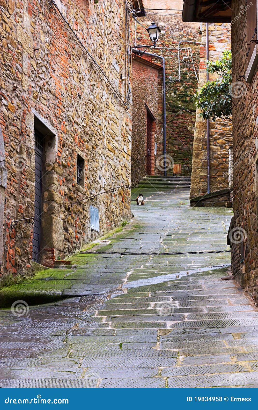 Antique alley stock photo. Image of antique, lane, cobbled - 19834958
