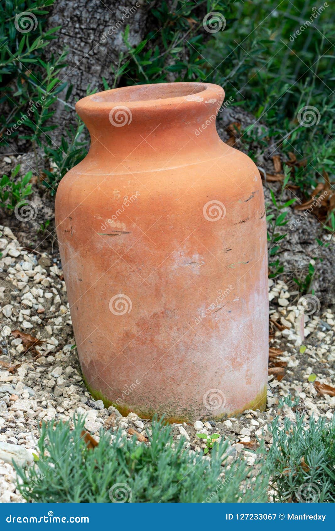 Antique Amphora in the Garden Stock Image - Image of stone, deco: 127233067