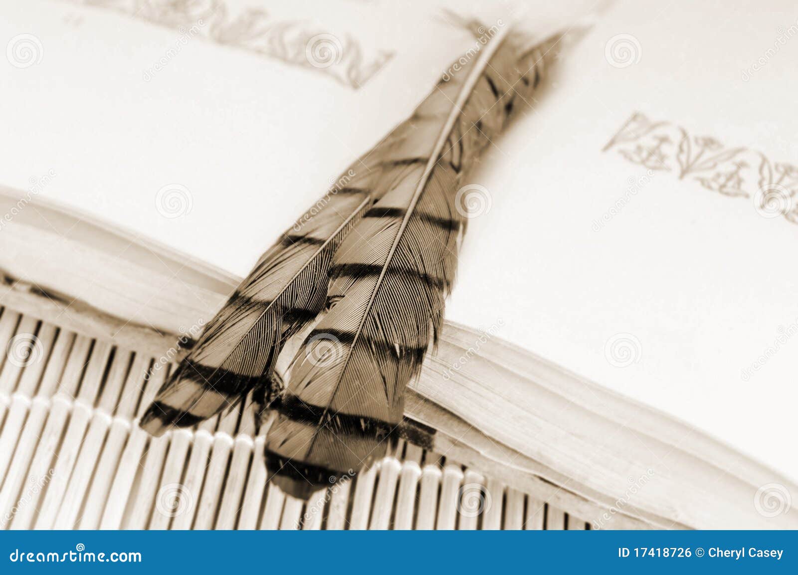 Antique book and feathers stock photo. Image of bird - 17418726